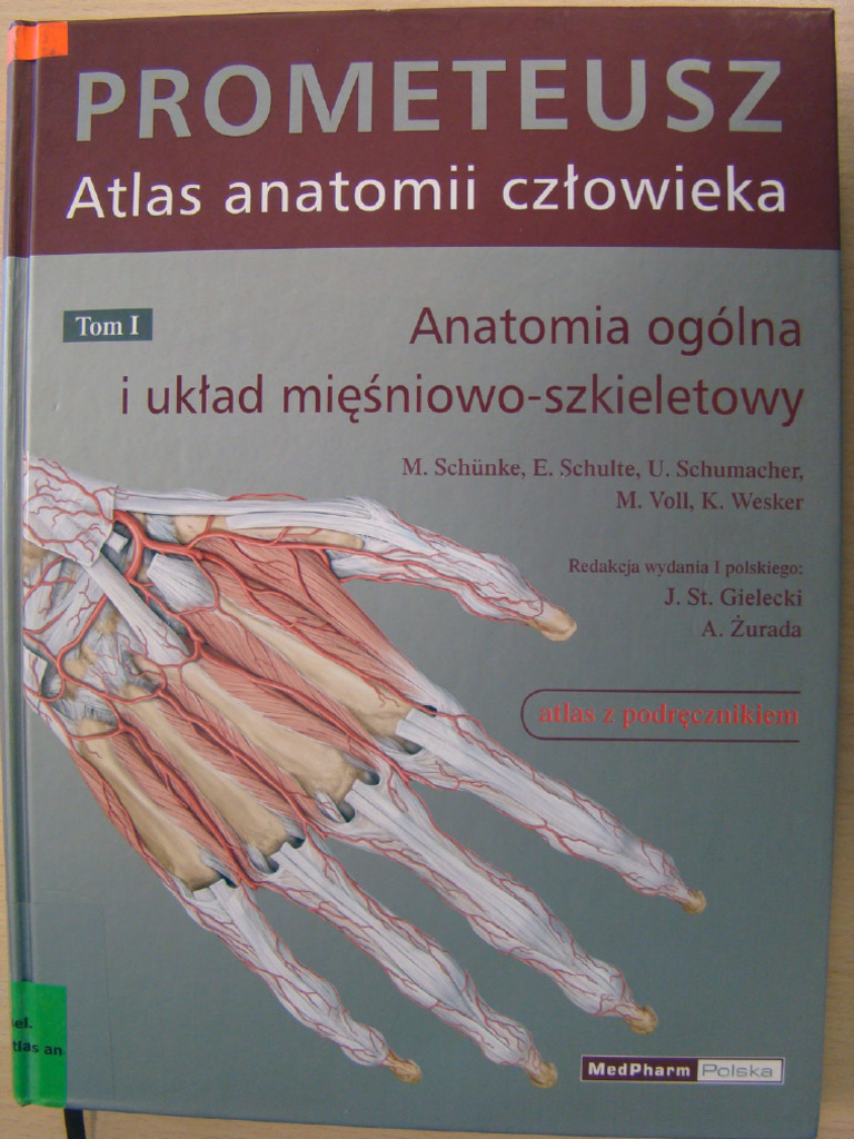 Prometeusz - Atlas Anatomii Czå Owieka, Tom I | PDF