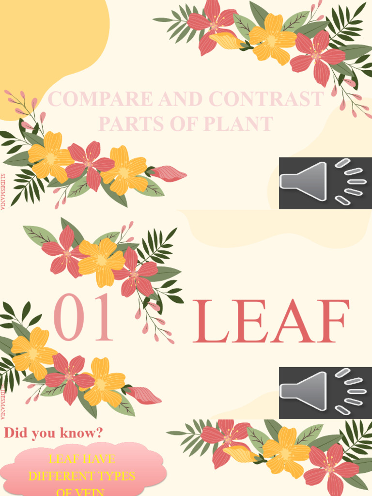 Compare and Contrast Parts of Plants | PDF
