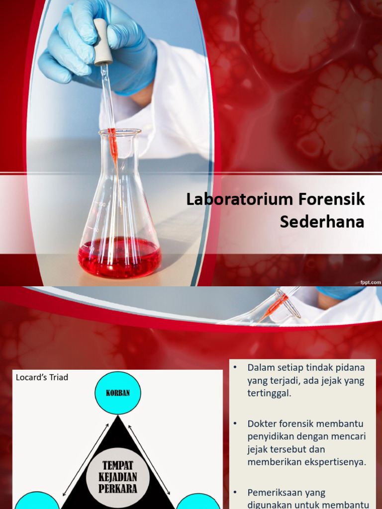 K13 - Laboratorium Forensik Sederhana | PDF