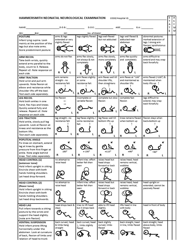 HNNE Complete 12 - 6 - 17 | PDF | Anatomical Terms Of Motion | Finger