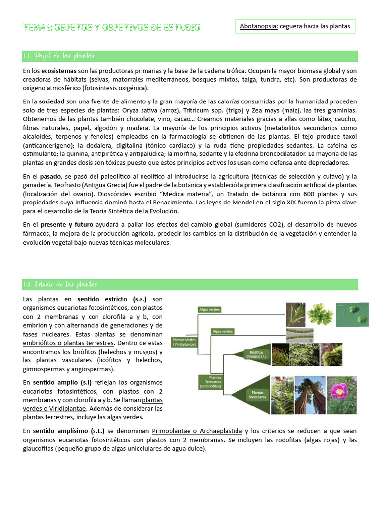 Tema 1 - Objetos y Objetivos de Estudio | PDF | Plantas | Algas