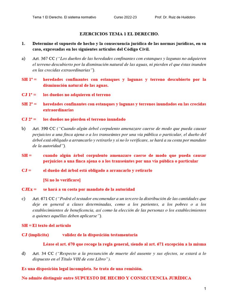 Ejercicios Tema 1 Soluciones 2023-24 Prof. Ruiz de Huidobro | PDF