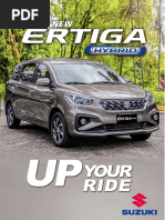 Accessing Pelkon III | PDF | Internet Explorer | Web Browser