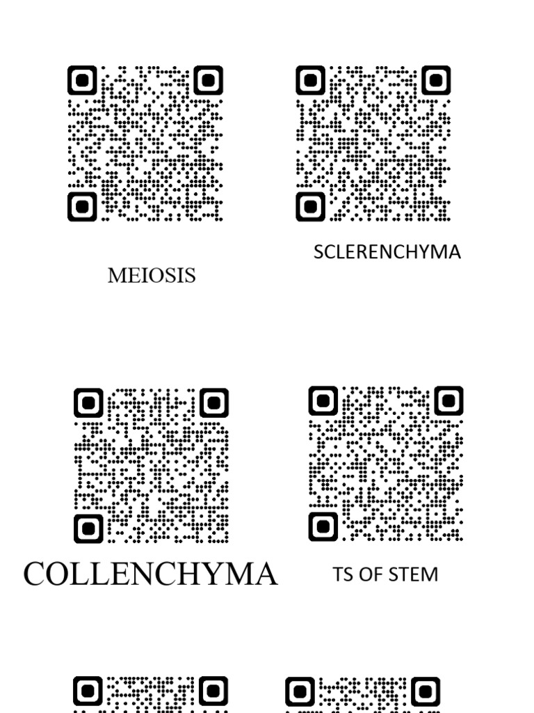 Rangoli QR Codes | PDF