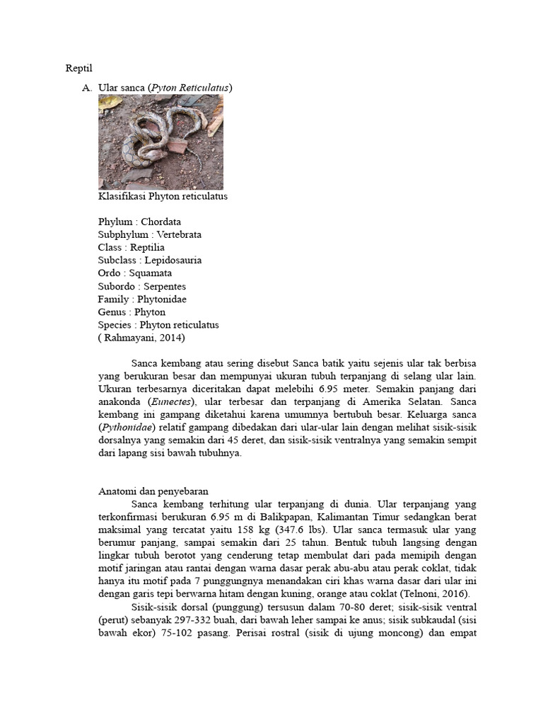 Laprak Reptil Latipah | PDF