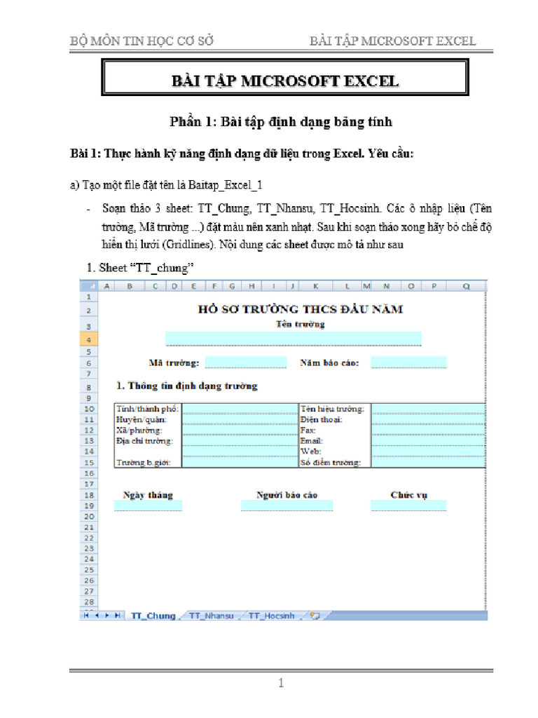 Bai Tap MS Excel | PDF