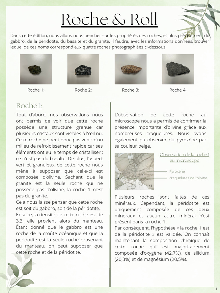 Identification Des Roches | PDF