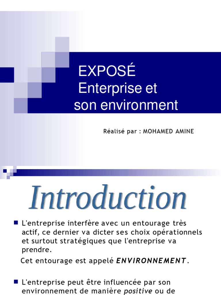 Enterprise Et Son Environment (2 ° | PDF