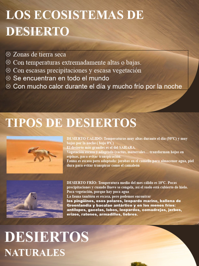 Los Ecosistemas de Desierto | PDF