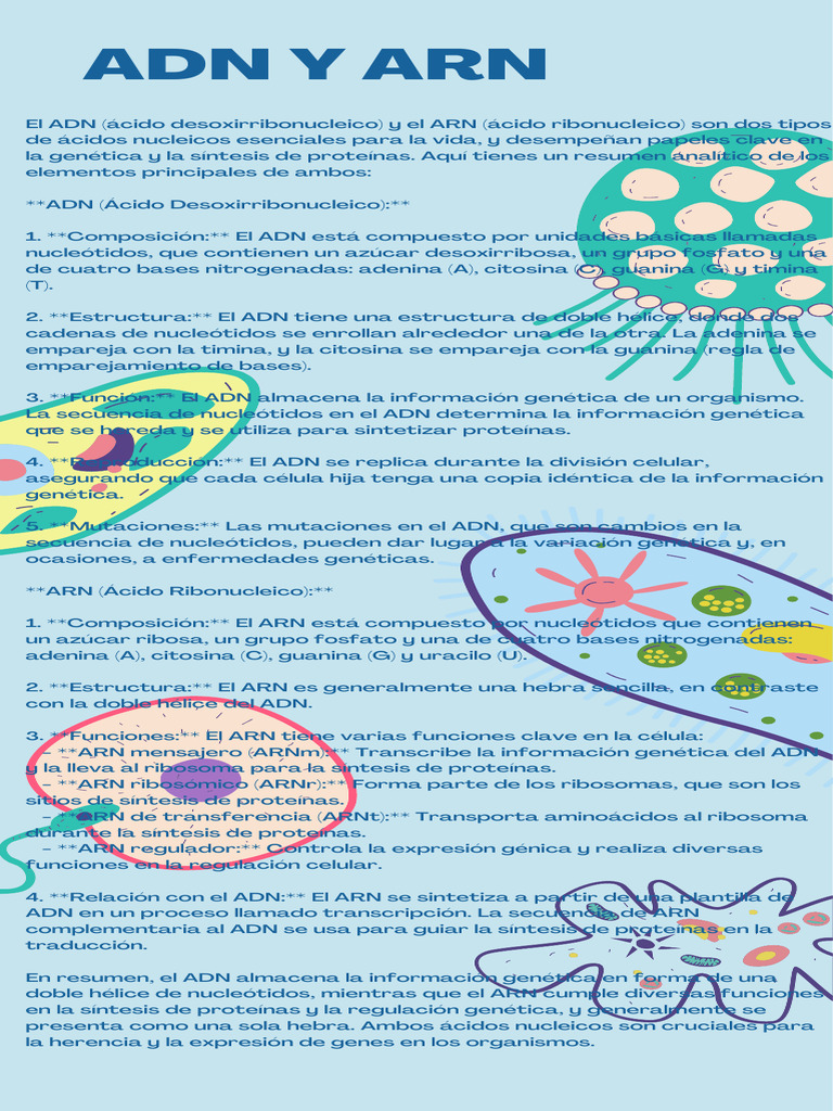 Adn y Arn | PDF | Rna | Adn