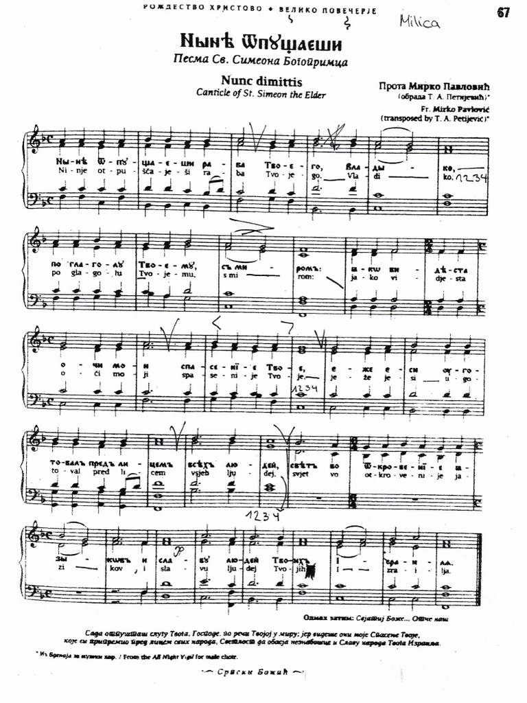 Ninje Otpusajesi - Mirko Pavlovic | PDF