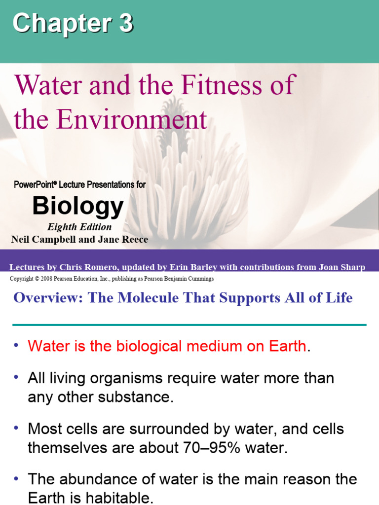3 Water | PDF | Calorie | Water