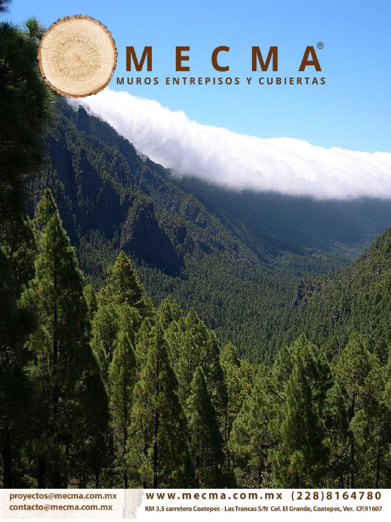 Descripcion Tecnica Madera Mecma | PDF | Madera | Pintar