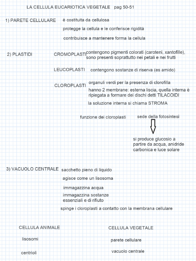 La Cellula Eucariotica Vegetale | PDF