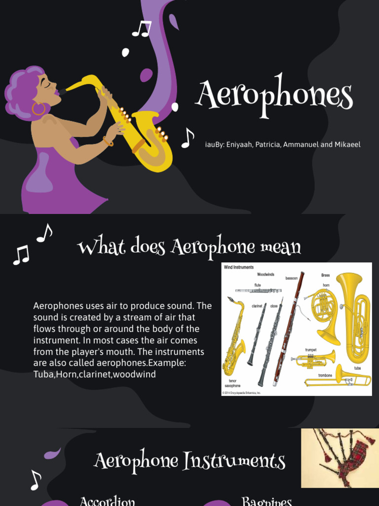 Aerophones | PDF