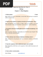 Class 9 Case Study Questions | PDF | Tissue (Biology) | Epithelium