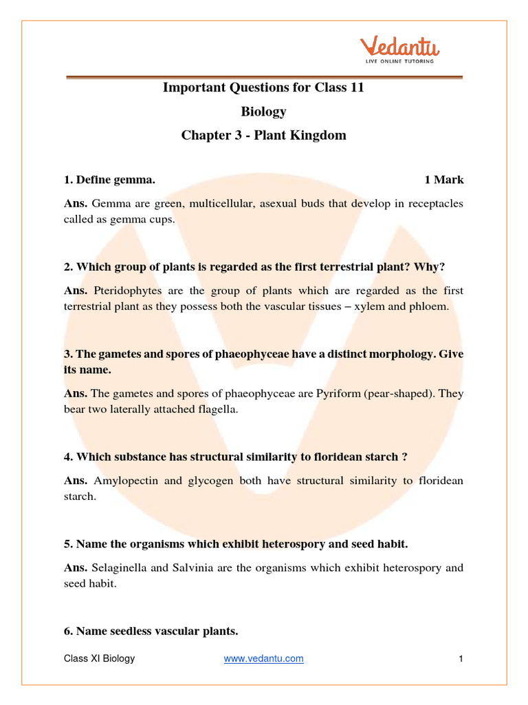 Important Questions For CBSE Class 11 Biology Chapter 3 | PDF | Botany ...