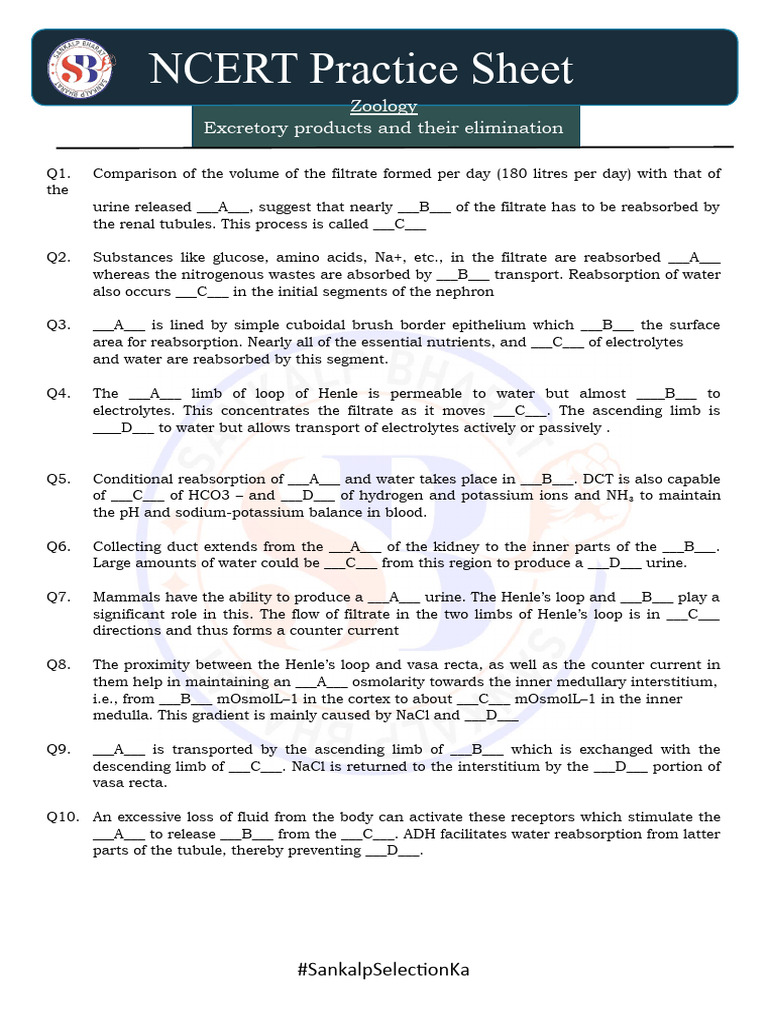 NCERT Practice Sheet | PDF | Genitourinary System | Organ (Anatomy)