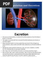 Excretory System of Frog | PDF | Kidney | Urinary System