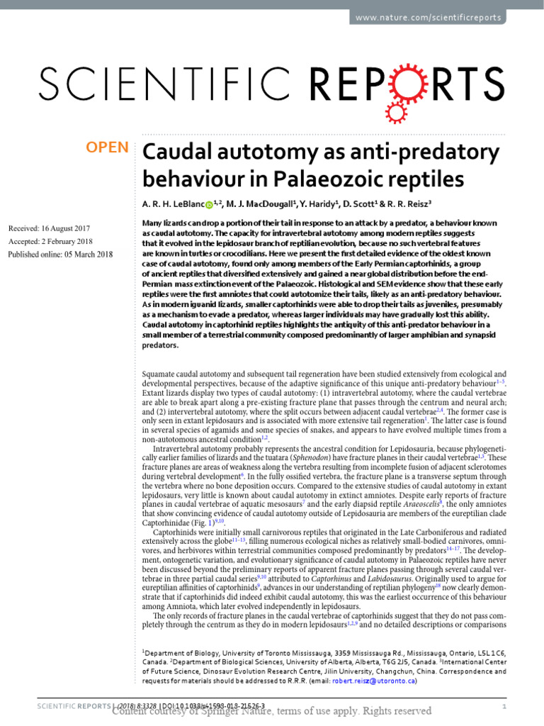 Caudal Autotomy As Anti-Predatory Behaviour in Pal | PDF