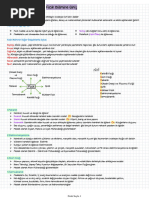 1-Fizik Bilimine Giriş | PDF