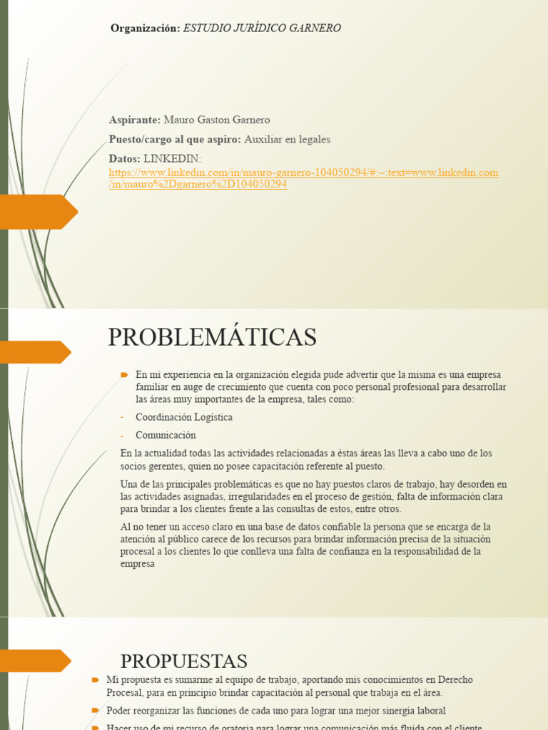 Power Point Tp1 Practica Profesional Pdf Business