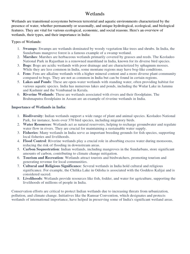 Wetlands and Mangroves | PDF | Wetland | Mangrove