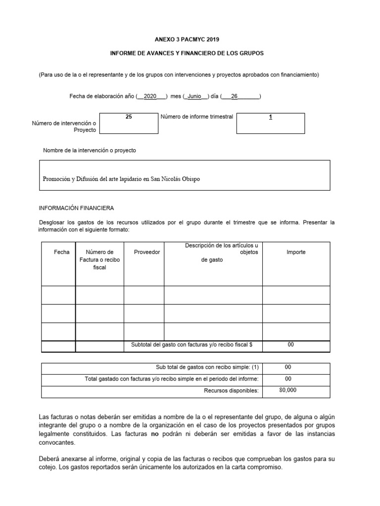 Formato Informes Pacmyc | PDF