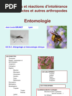 Entomologie Etude Des Insectes | PDF | Insectes | Mouche