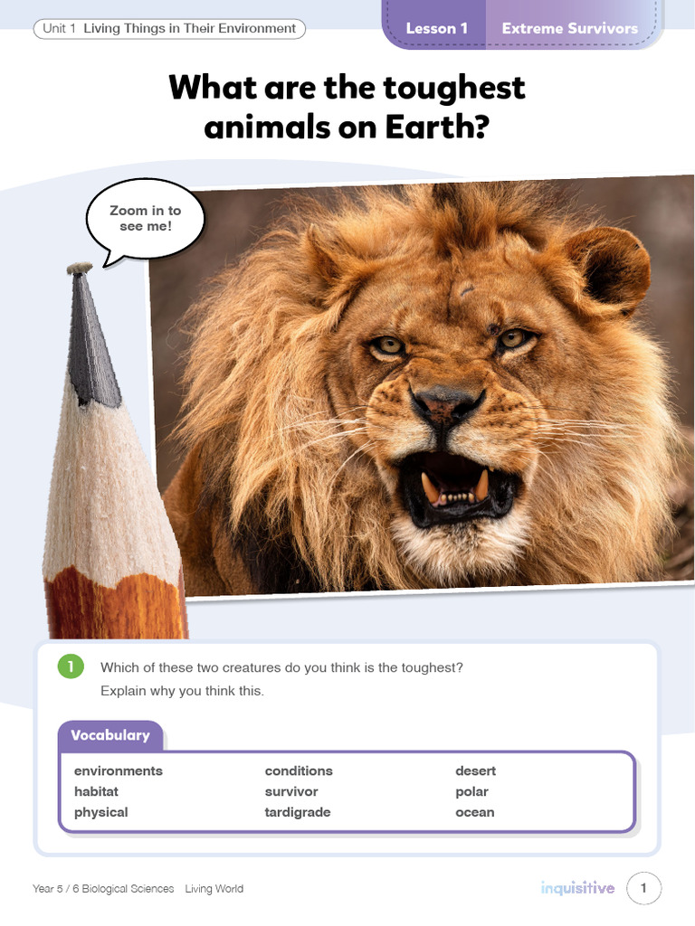 Extreme Survivors | PDF