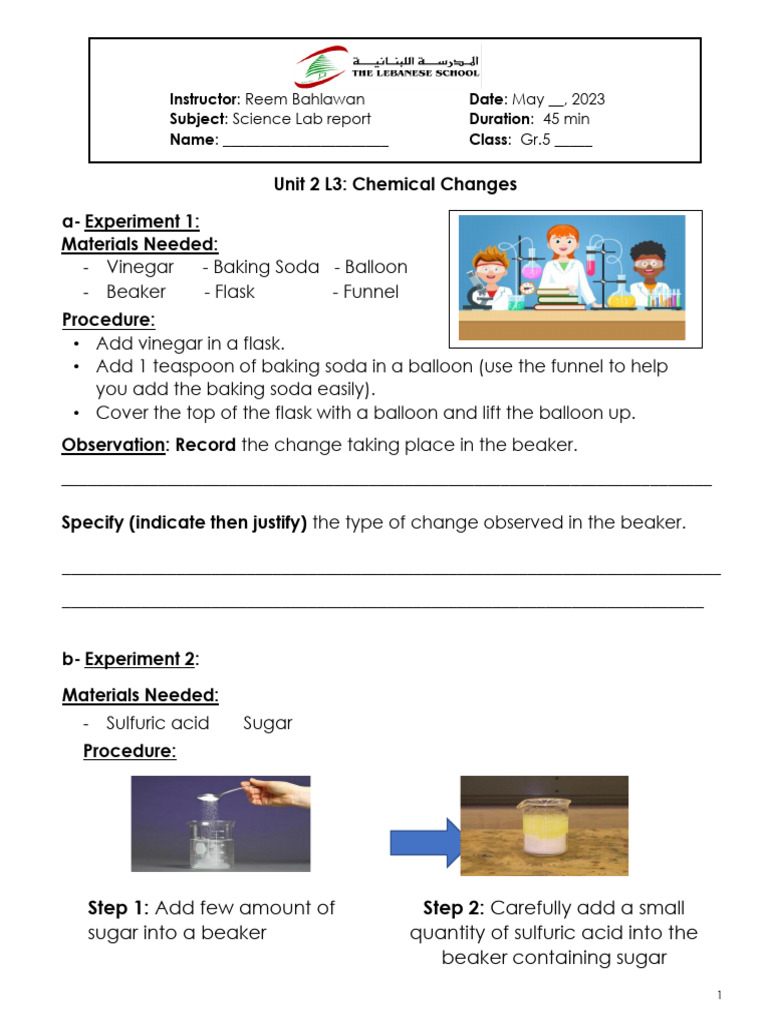 Unit 2 L3 - S1 - Chemical Changes Lab Report | PDF | Sulfuric Acid | Magnesium