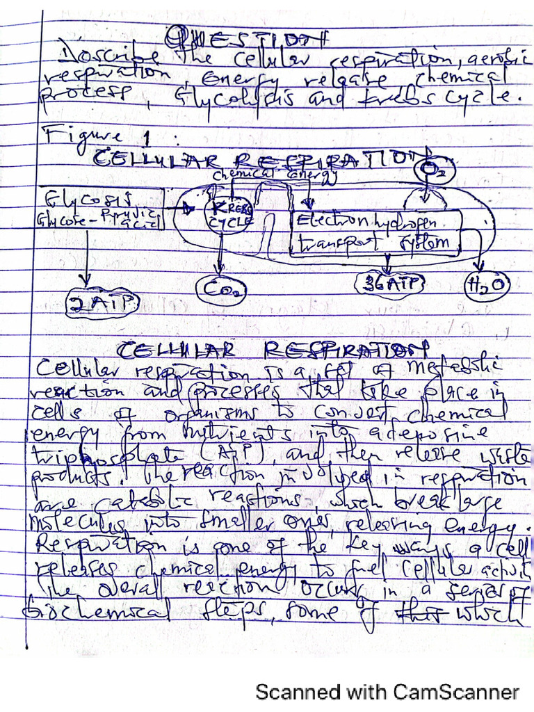 Biology Assignment 1 | PDF