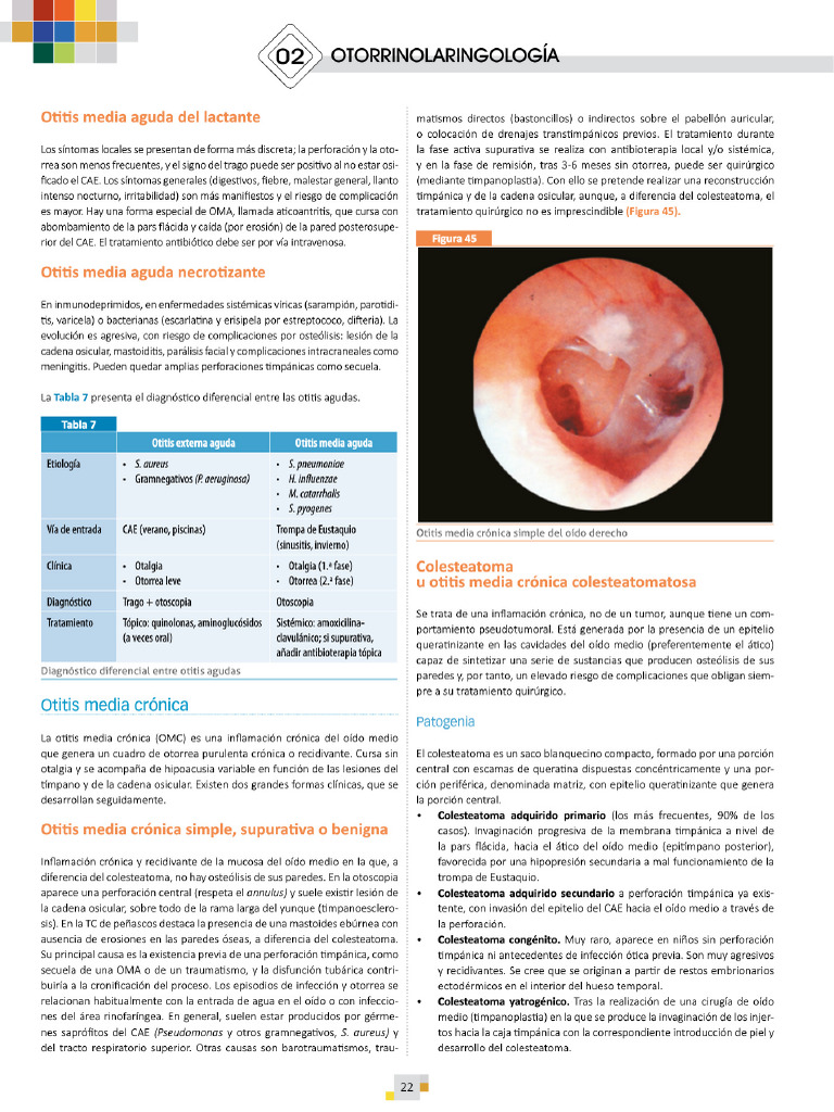 Manual CTO 36 43 Merged | PDF | Vértigo | Oído