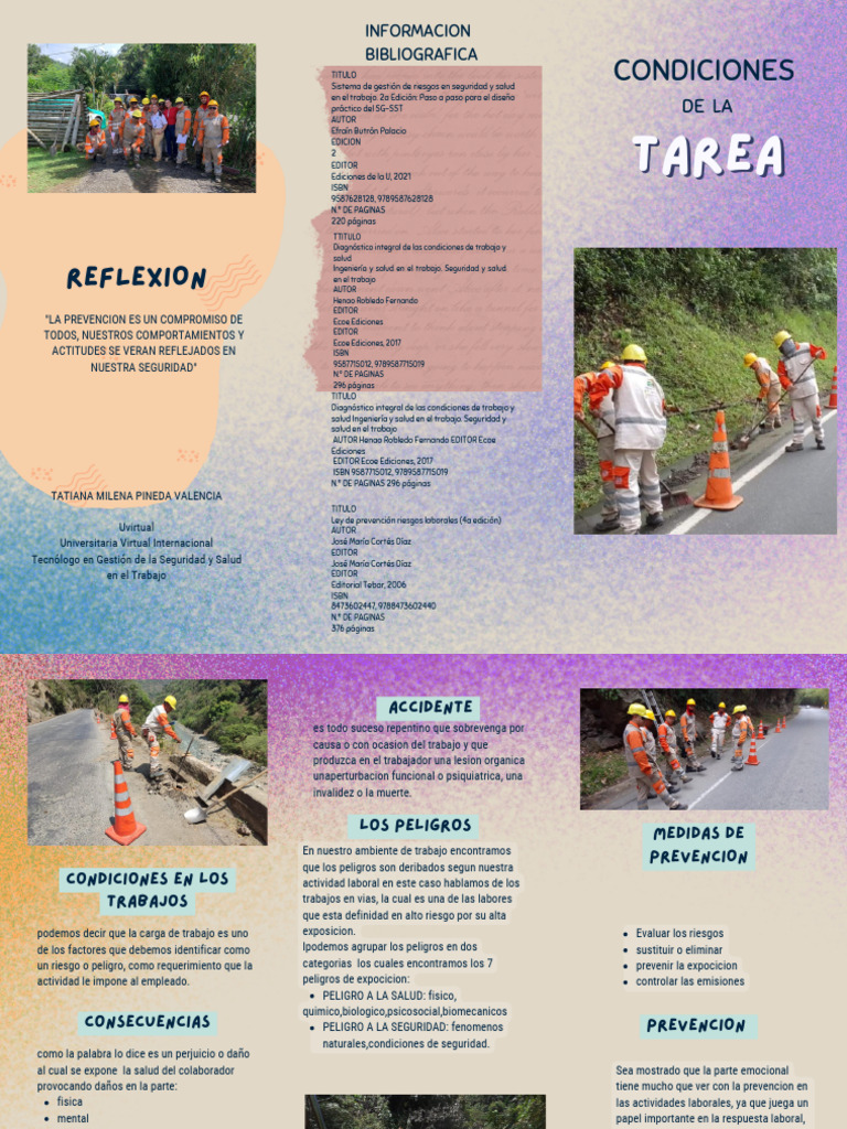 Brochure Sobre Conceptualización de Condiciones de La Tarea. | PDF