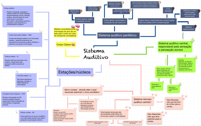 Mapa Mental - Sistema Auditivo | PDF