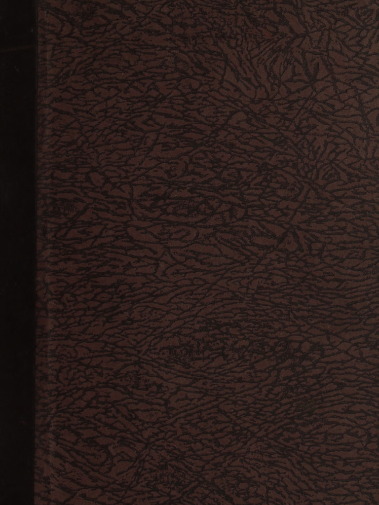 Historia de Los Partidos Políticos Tomo II Pivel Devoto | PDF