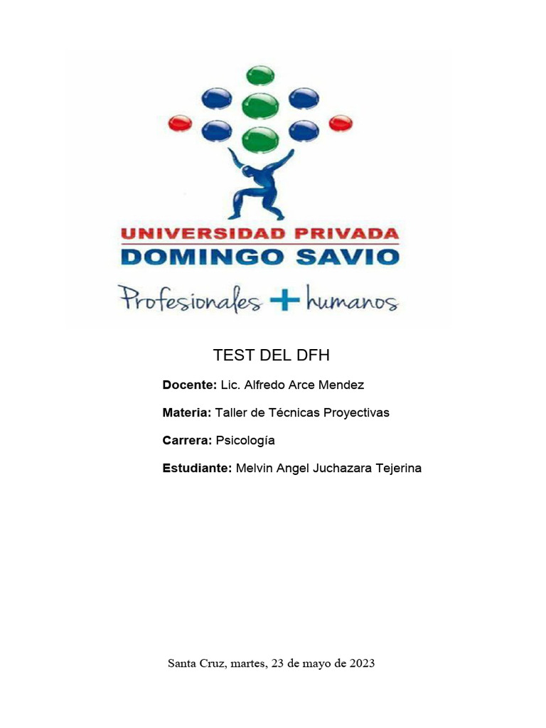 Sujeto 1 (Test DFH) | PDF