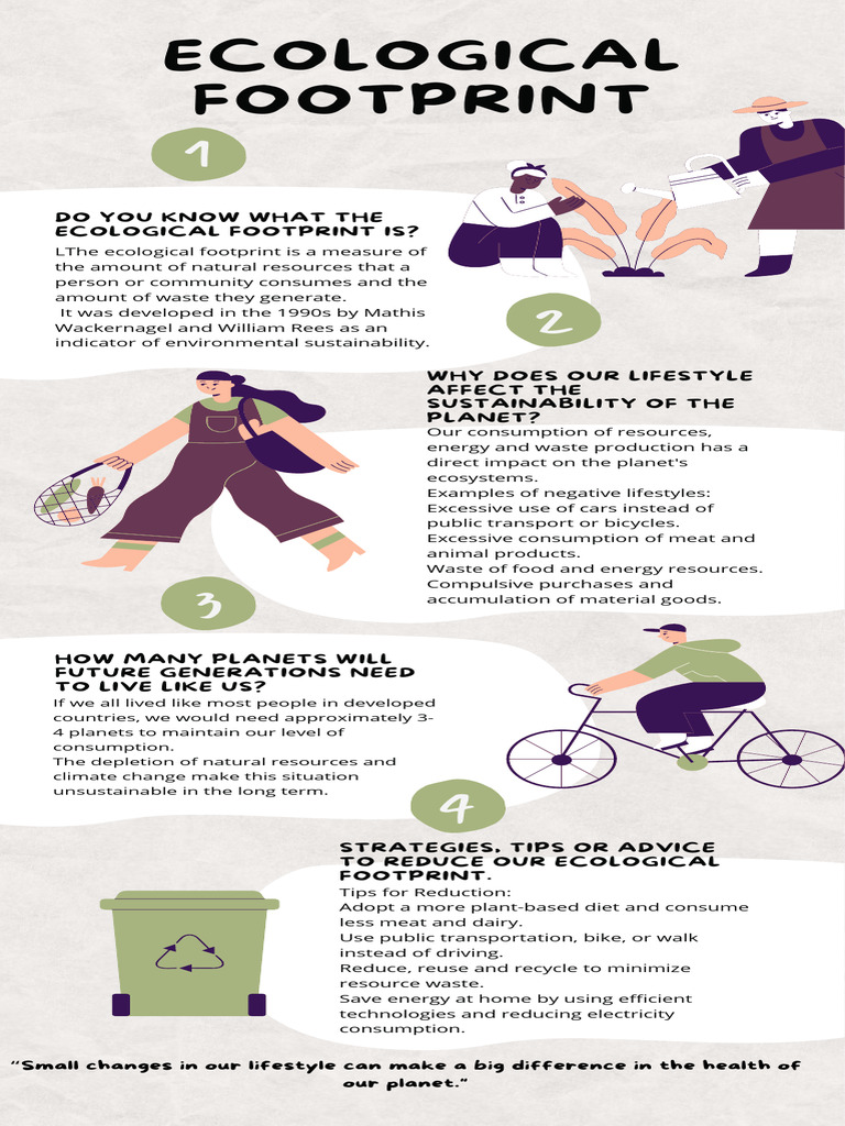 Ecological Footprint | PDF | Sustainability | Natural Environment