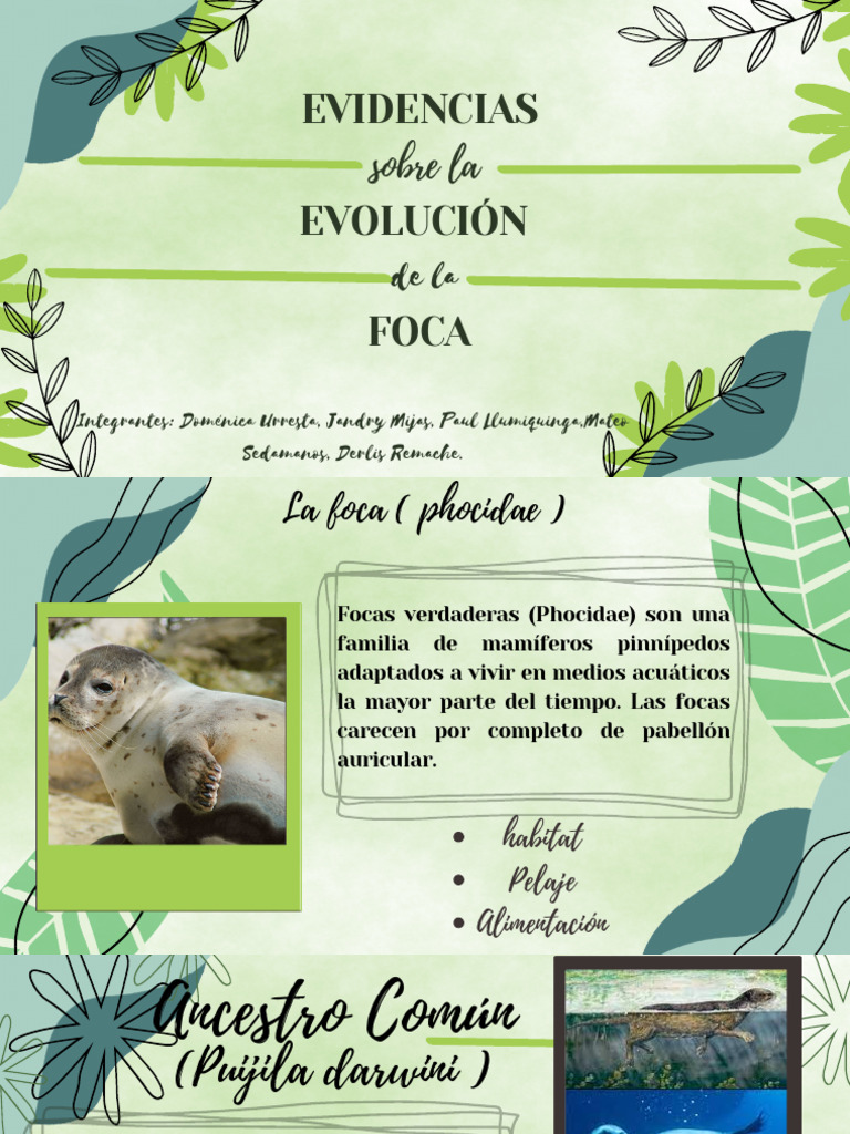 Las Evidencias de La Evoluciã - N de La Foca | PDF | Pinnípedo