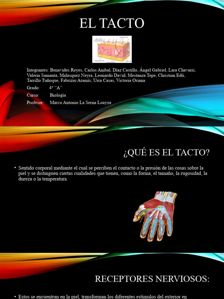 El Sentido del Tacto en Biología | PDF | Sistema nervioso | Neuropsicología