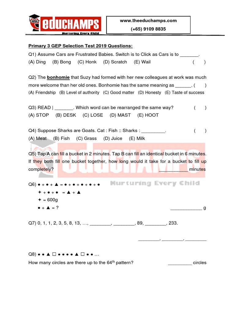 Primary 3 GEP Selection Test 2019 | PDF