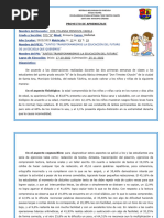 Temas Generadores PRIMARIA | PDF | Ciencias sociales | Informática
