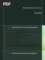 Sociedad Taína: Cultura y Organización | PDF