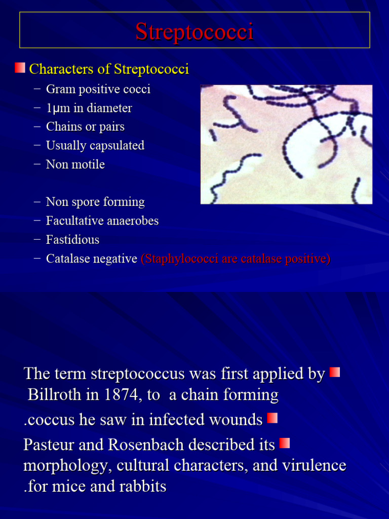 Streptococci | PDF
