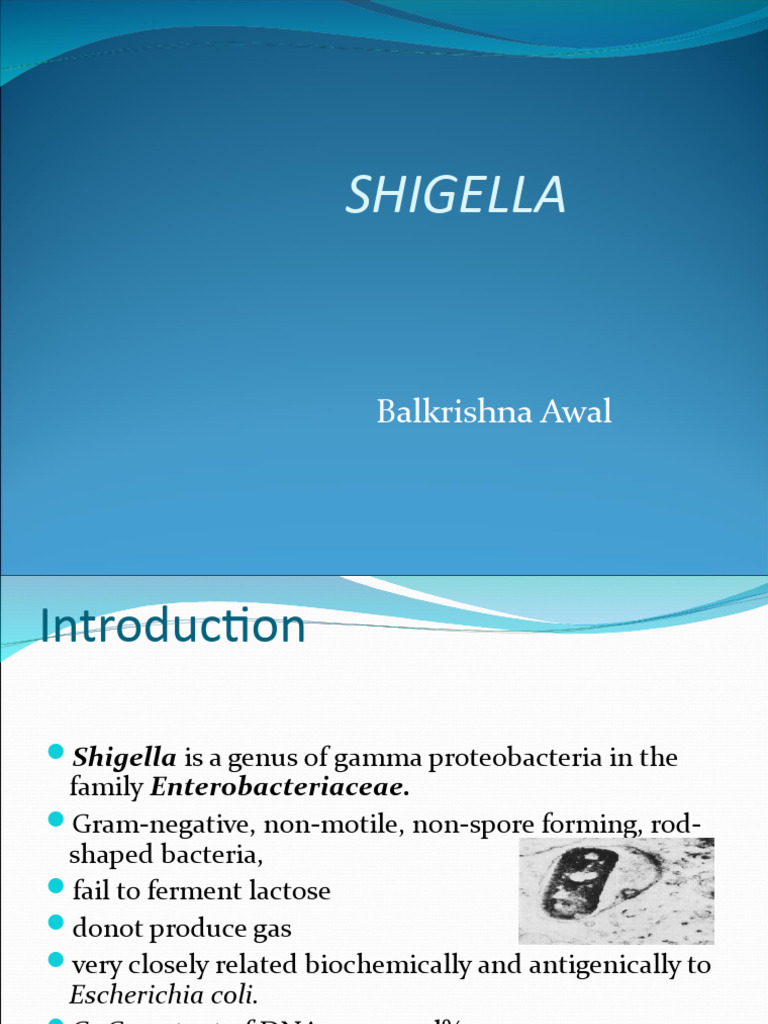 Shigella Ppt. Balkrishna - ppt11 | PDF