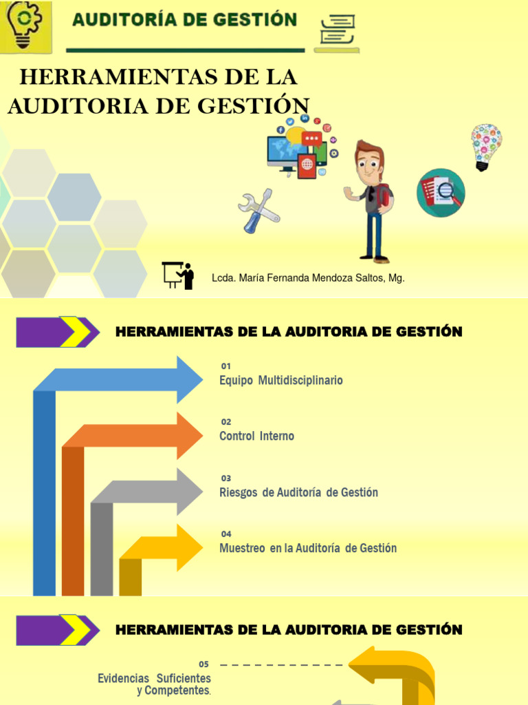 Herramientas de La Auditoria de Gestion | PDF | Auditoría | Contralor