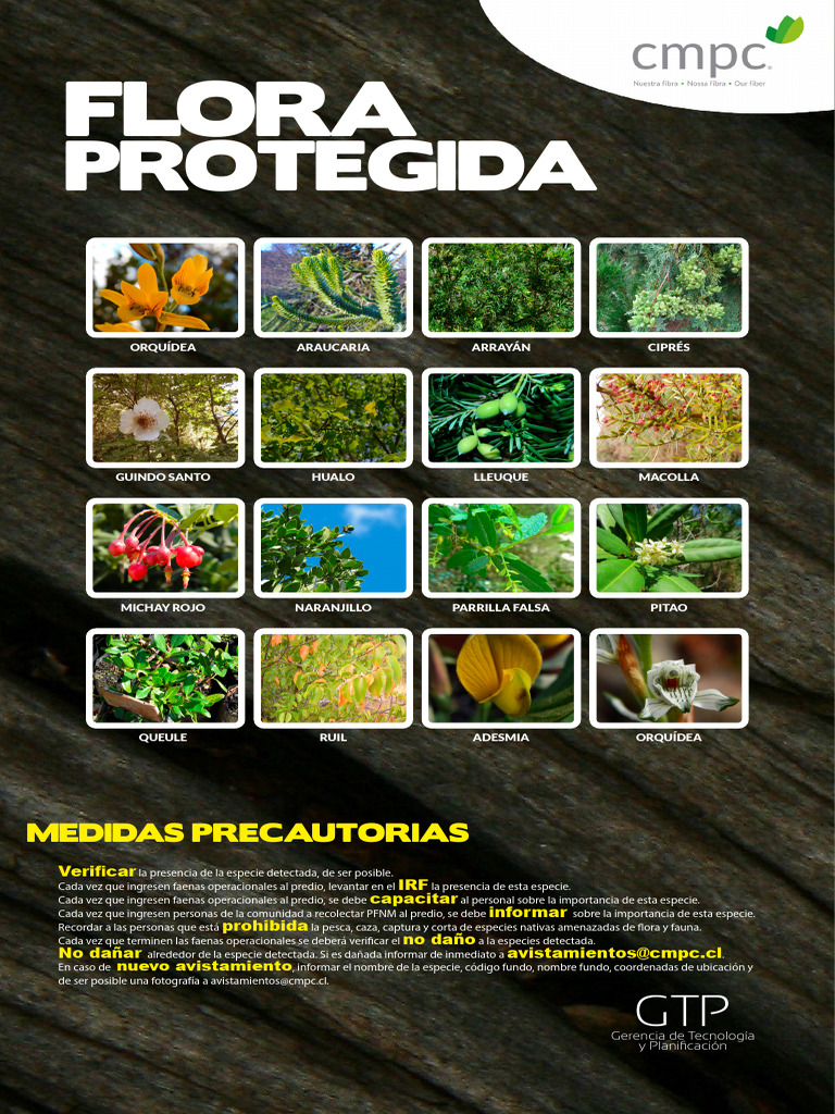 Flora y Fauna | PDF | Organismos