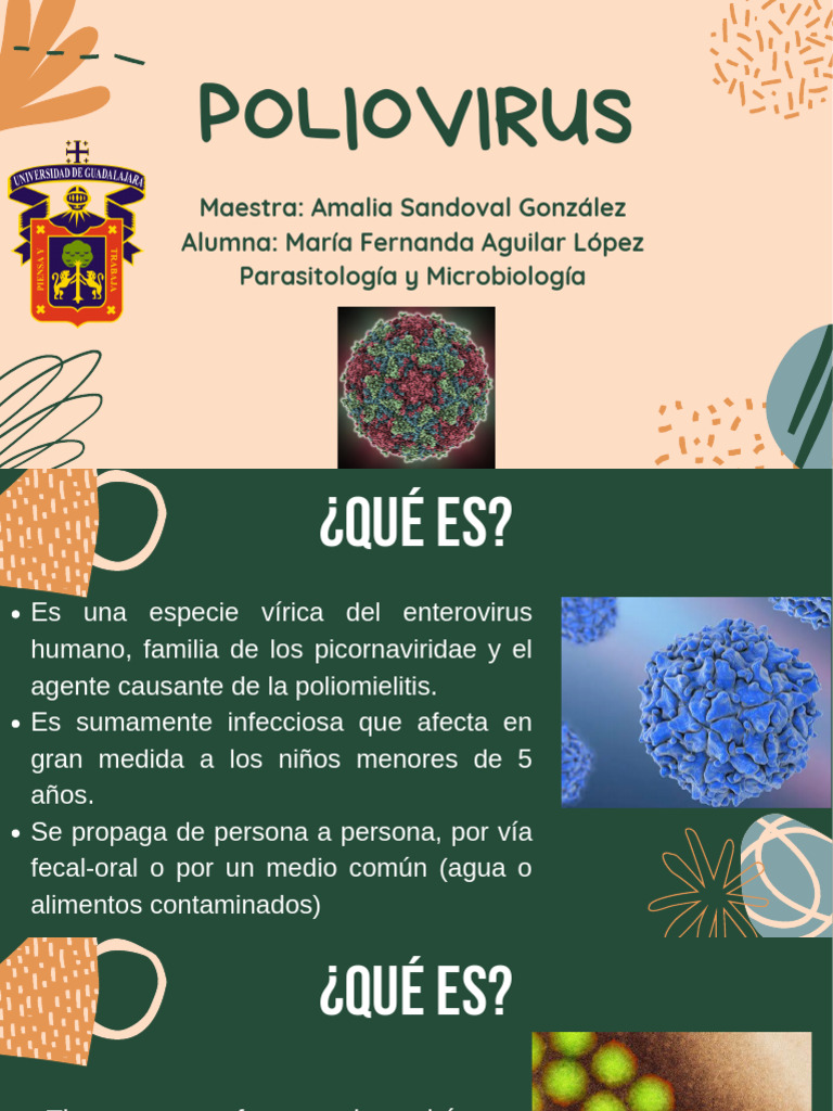 Estructura y Patogenia del Poliovirus | PDF | Epidemiología | Microbiología
