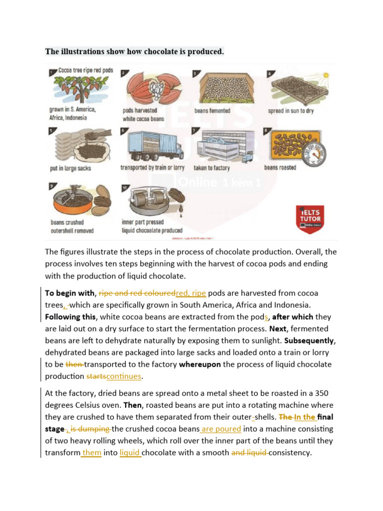 The Illustrations Show How Chocolate Is Produced | PDF