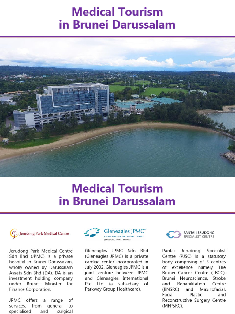 Brunei's Medical Tourism Hub | PDF